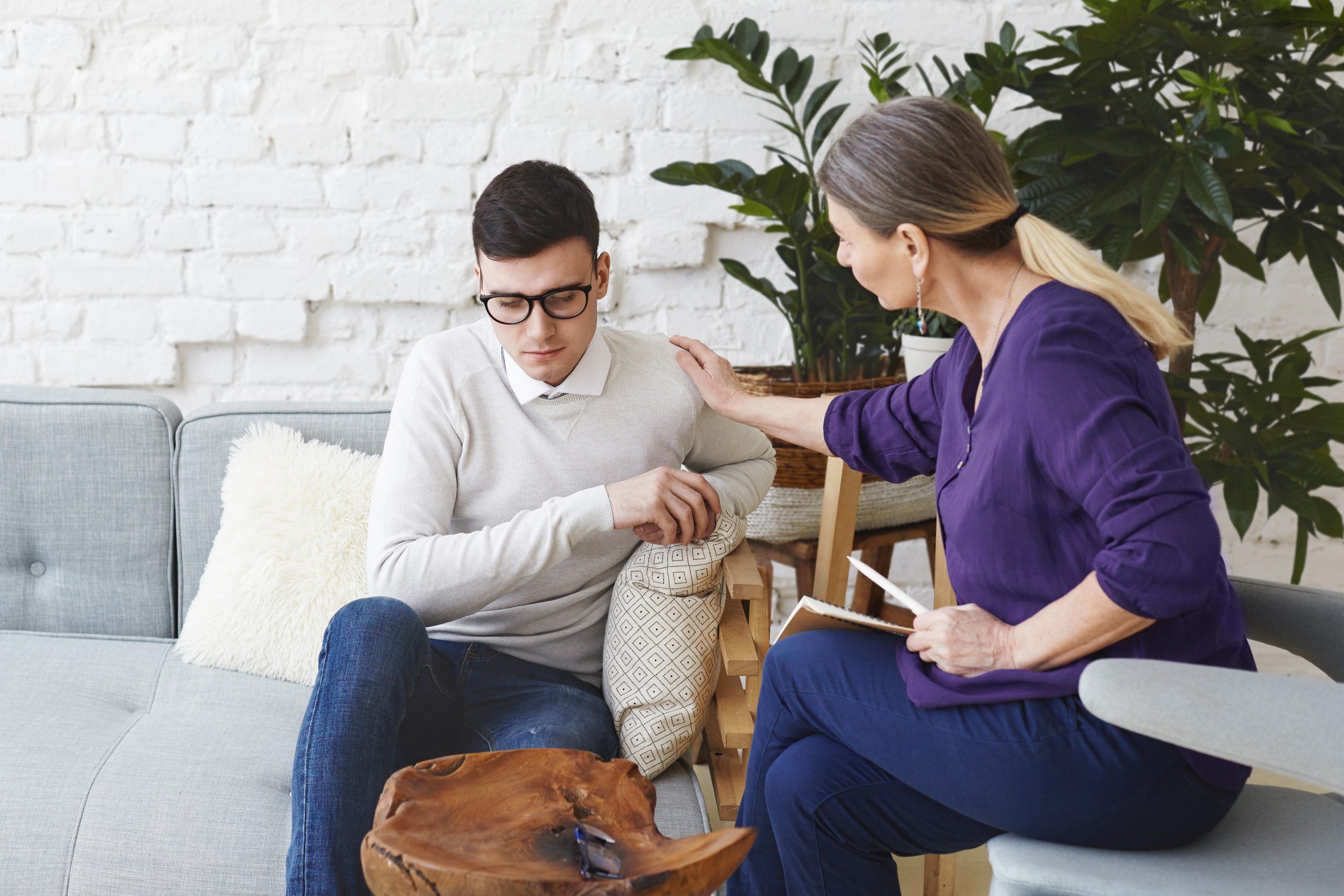 What Is Emotional Support Therapy? - Platinum Life